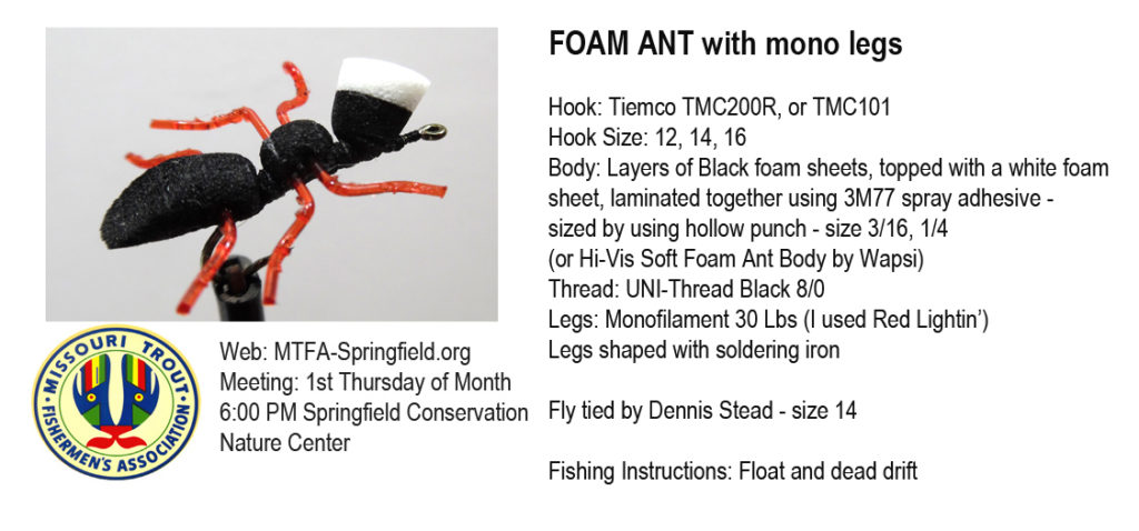 Foam Ant variation - Missouri Trout Fisherman's Association ...