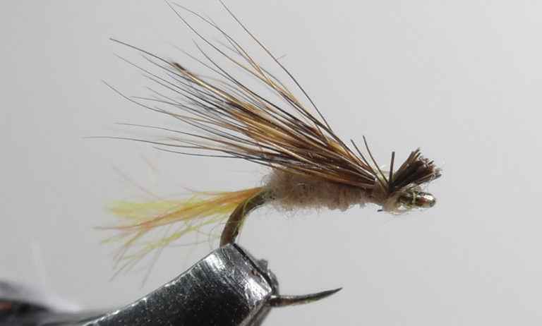x-caddis - Missouri Trout Fisherman's Association - Springfield Chapter