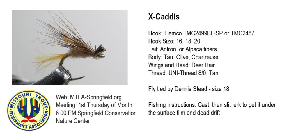 X-caddis - Missouri Trout Fisherman's Association - Springfield Chapter