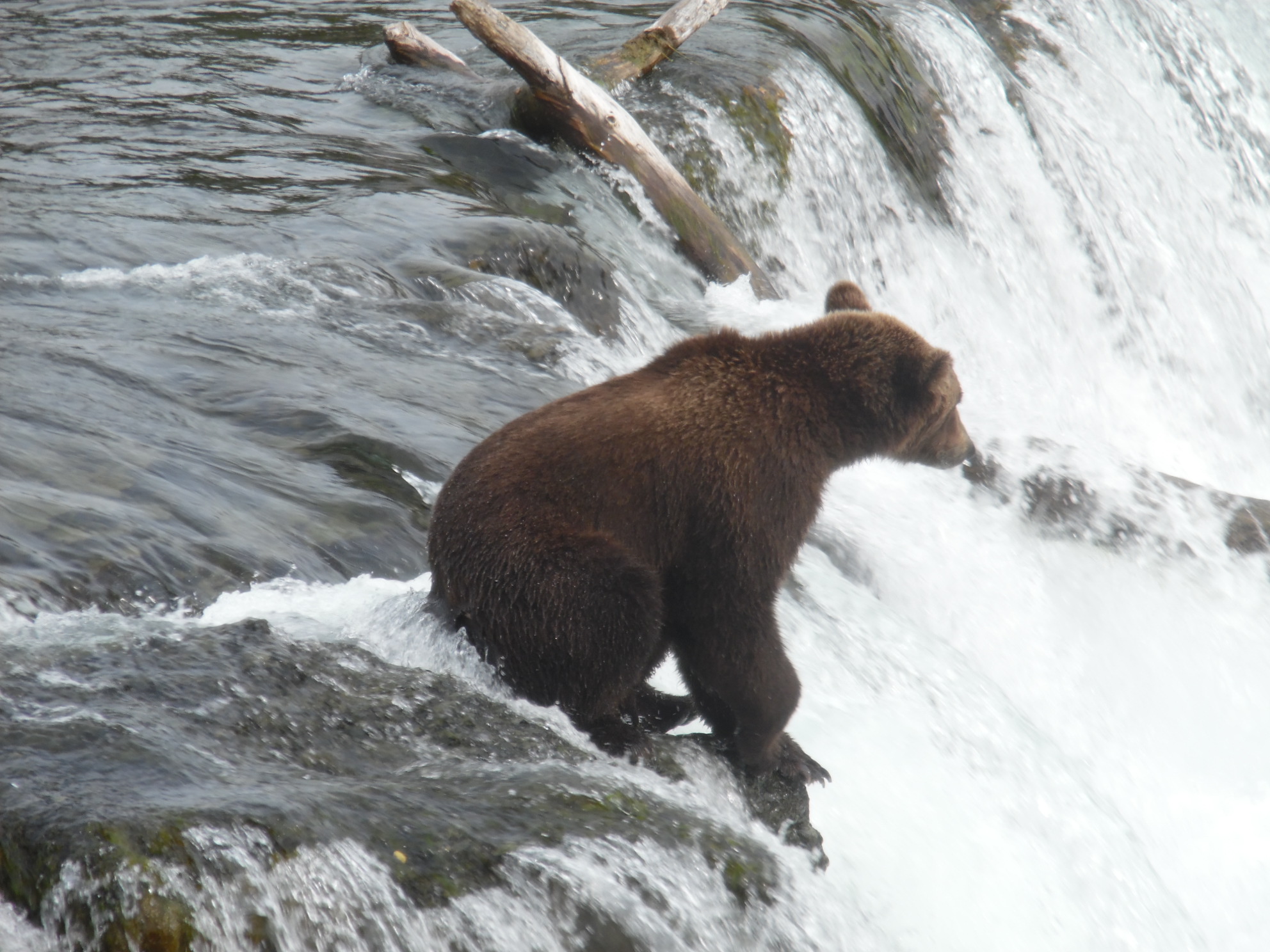 Alaska 2019 - Missouri Trout Fisherman's Association - Springfield Chapter