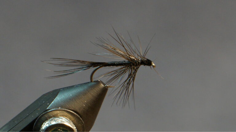 Black Midge Dry Fly (with video) - Missouri Trout Fisherman's ...