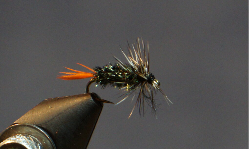 Wet Flies - Missouri Trout Fisherman's Association - Springfield Chapter