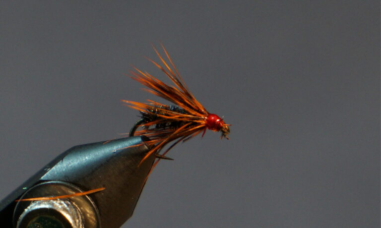 Red Hackle - soft hackle wet fly (with video) - Missouri Trout ...