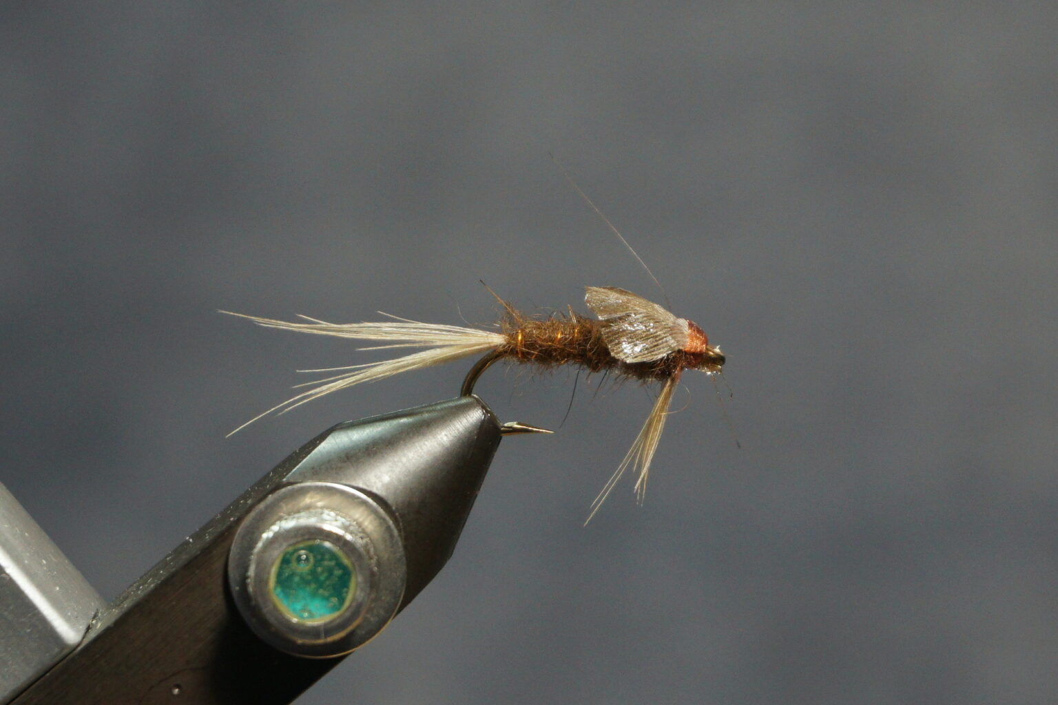 Nymphs - Missouri Trout Fisherman's Association - Springfield Chapter