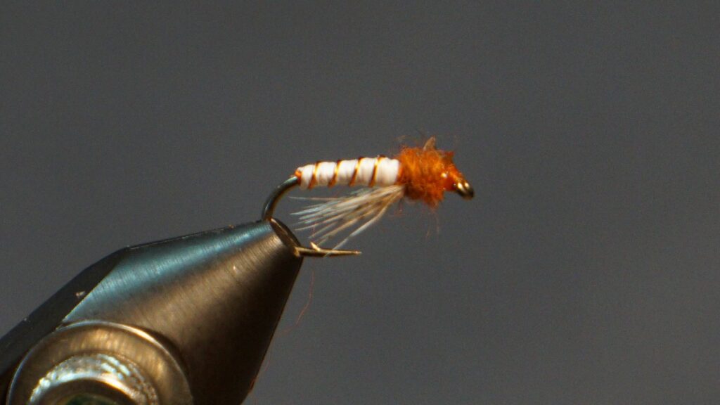 Midge Larva (with video) - Missouri Trout Fisherman's Association ...