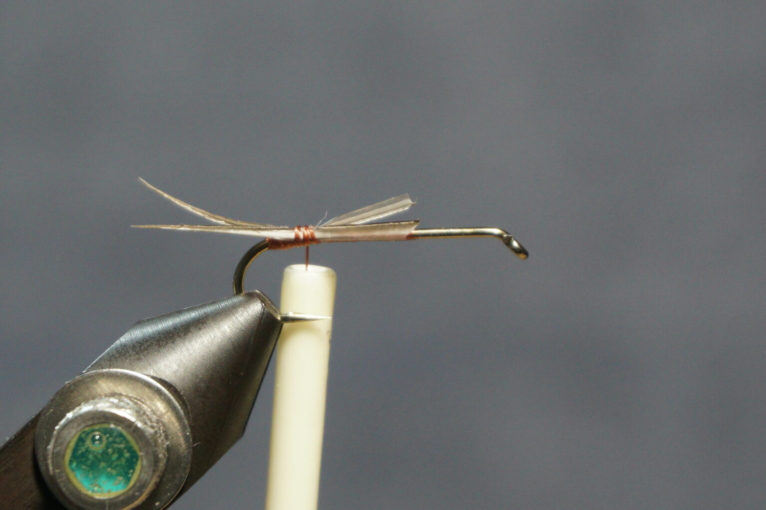 Stonefly Nymph (with video) - Missouri Trout Fisherman's Association ...