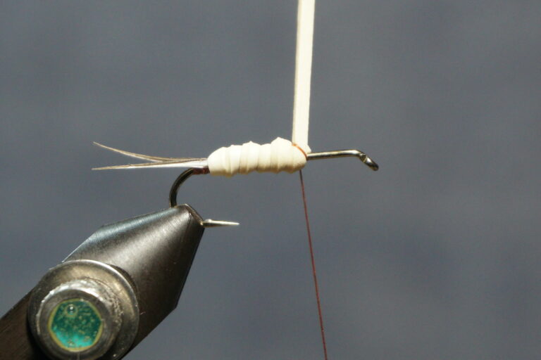 Stonefly Nymph (with video) - Missouri Trout Fisherman's Association ...