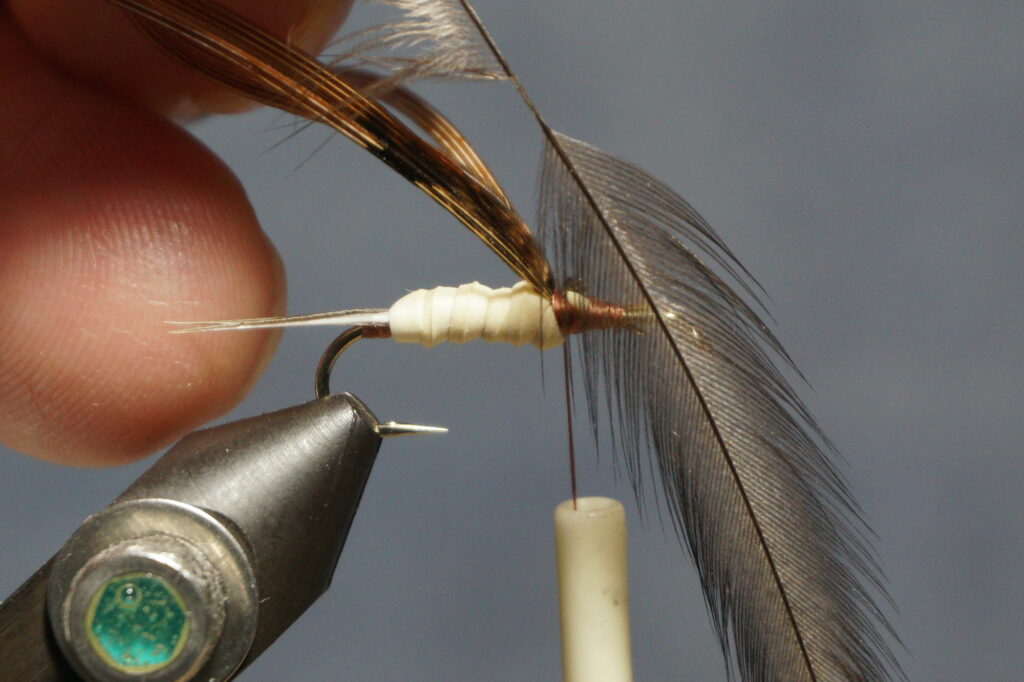 Stonefly Nymph (with video) - Missouri Trout Fisherman's Association ...