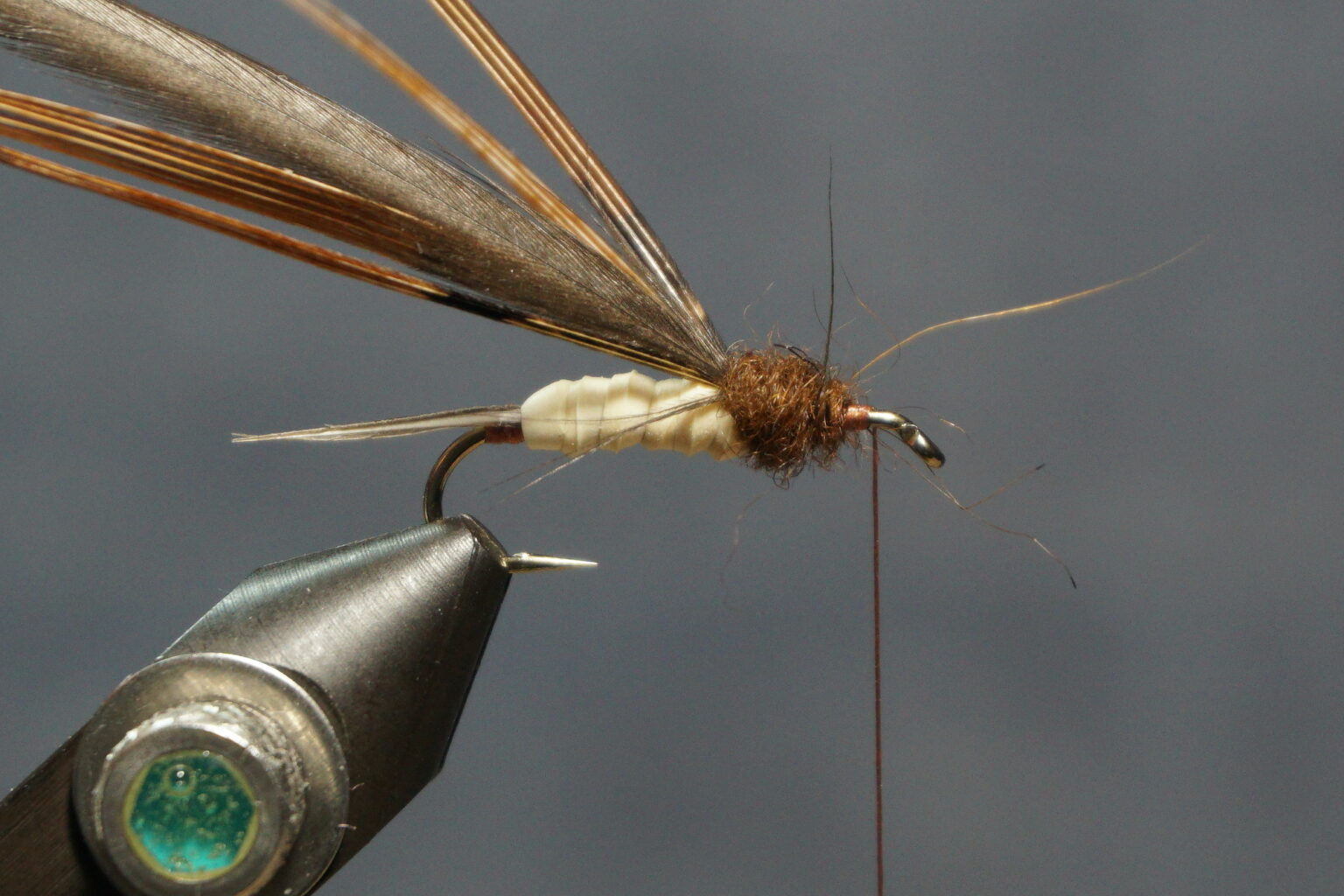 Stonefly Nymph (with video) - Missouri Trout Fisherman's Association ...