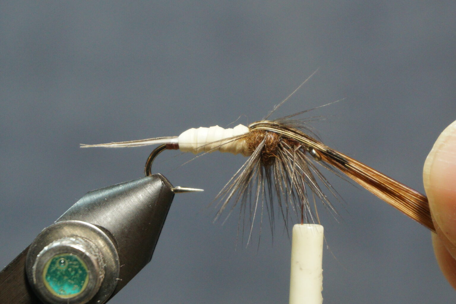 Stonefly Nymph (with video) - Missouri Trout Fisherman's Association ...