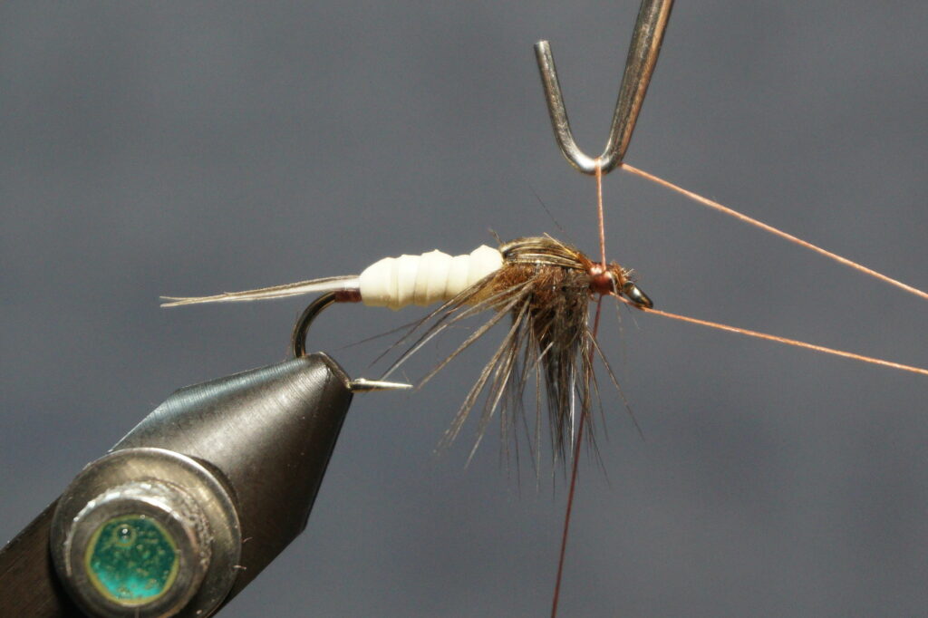 Stonefly Nymph (with video) - Missouri Trout Fisherman's Association ...