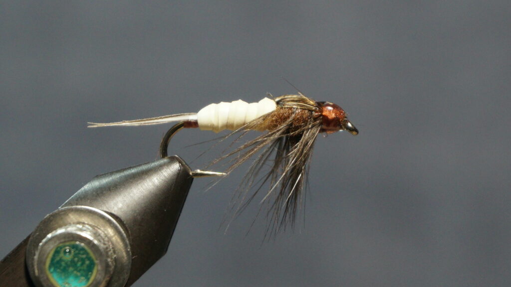Stonefly Nymph (with video) - Missouri Trout Fisherman's Association ...