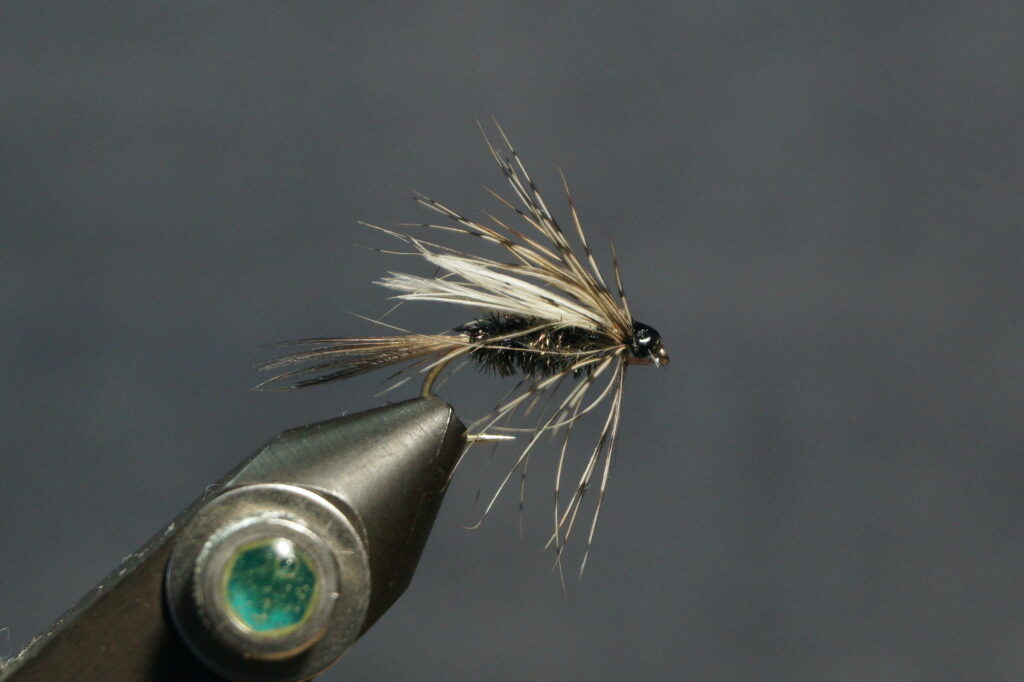 Caddisflies - Missouri Trout Fisherman's Association - Springfield Chapter