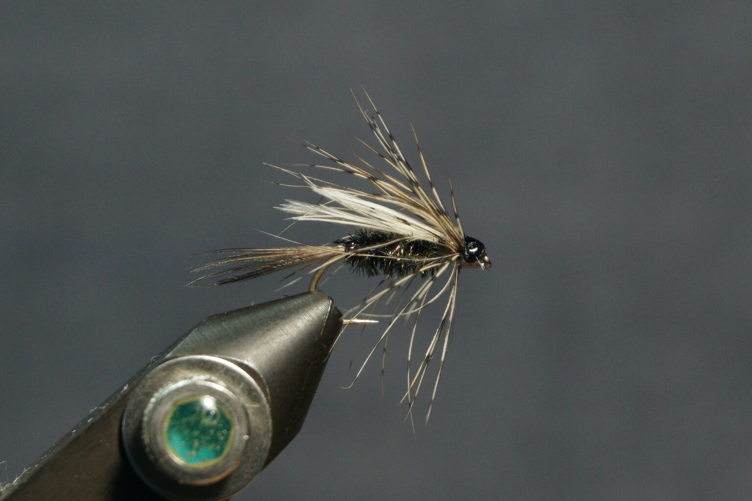 Caddisflies - Missouri Trout Fisherman's Association - Springfield Chapter