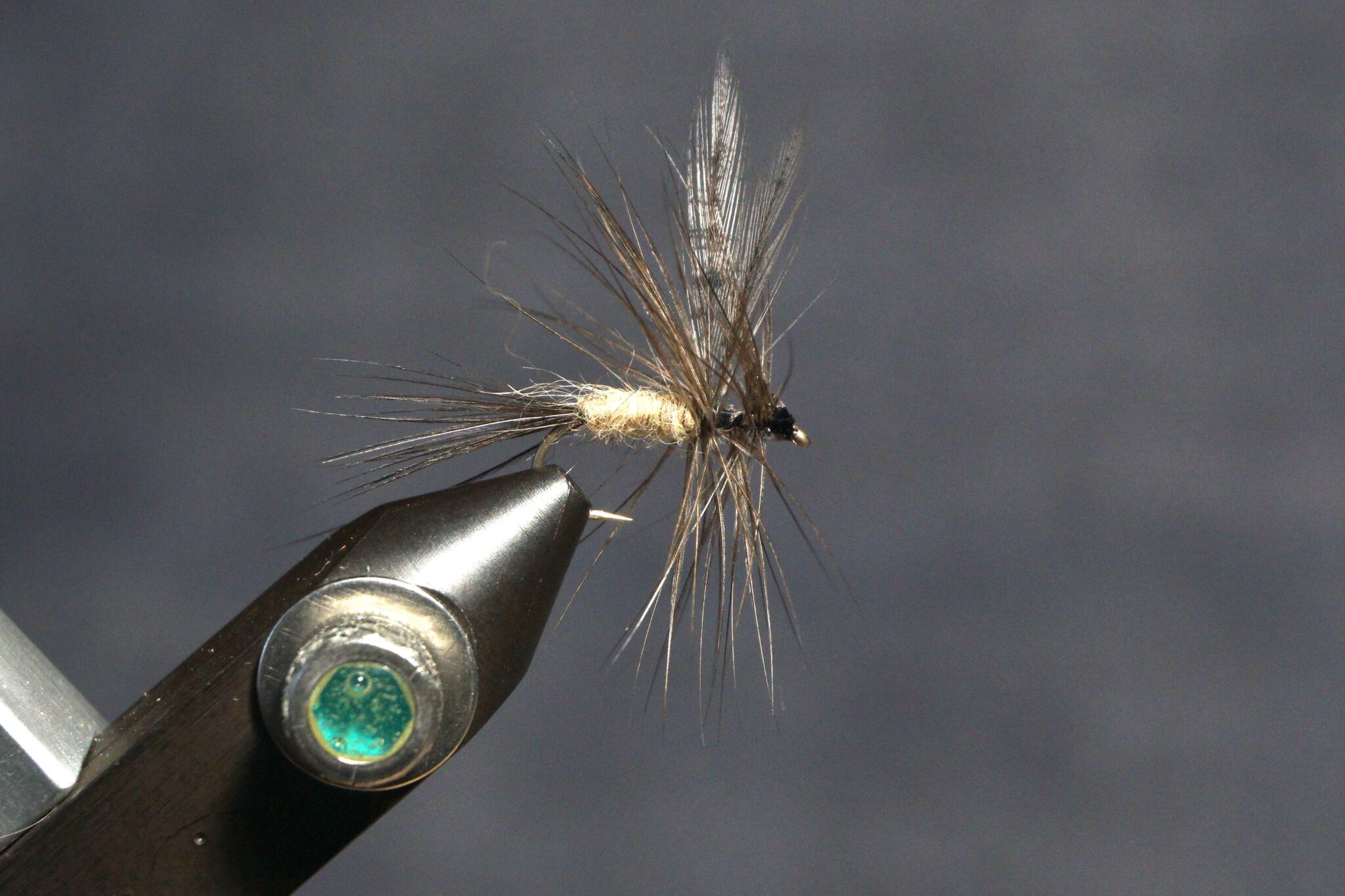 Mayflies - Missouri Trout Fisherman's Association - Springfield Chapter