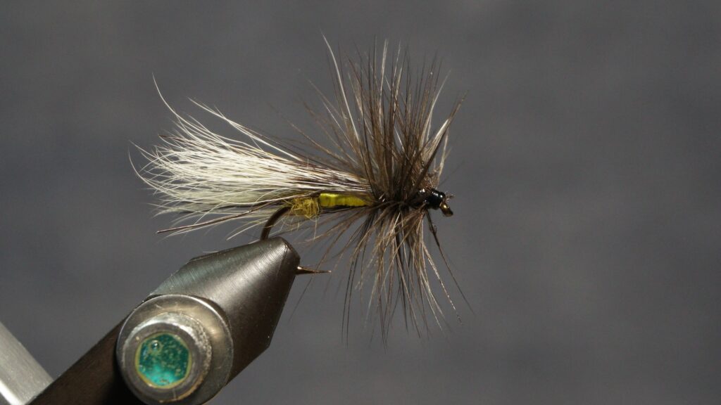 Dry Flies - Missouri Trout Fisherman's Association - Springfield Chapter