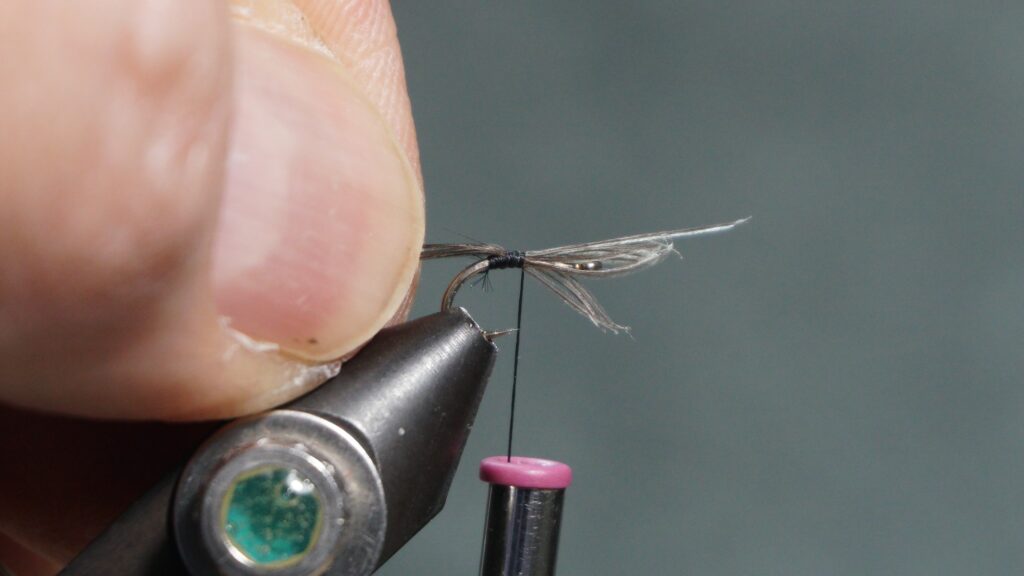 Freshwater Shrimp / Scud (with video) - Missouri Trout Fisherman's ...