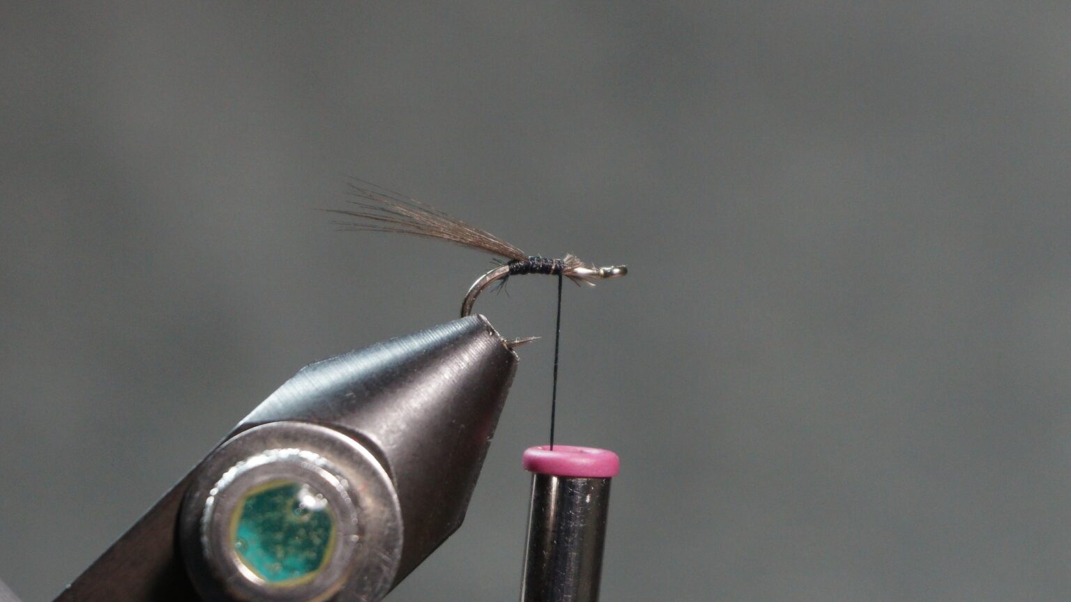 Freshwater Shrimp / Scud (with video) - Missouri Trout Fisherman's ...