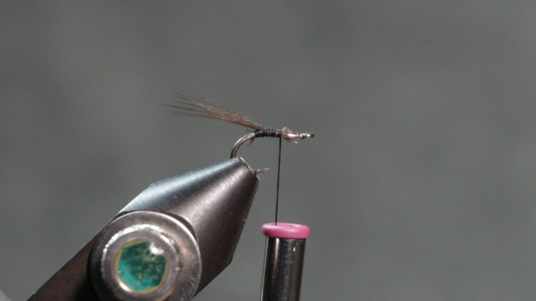 Freshwater Shrimp / Scud (with video) - Missouri Trout Fisherman's ...