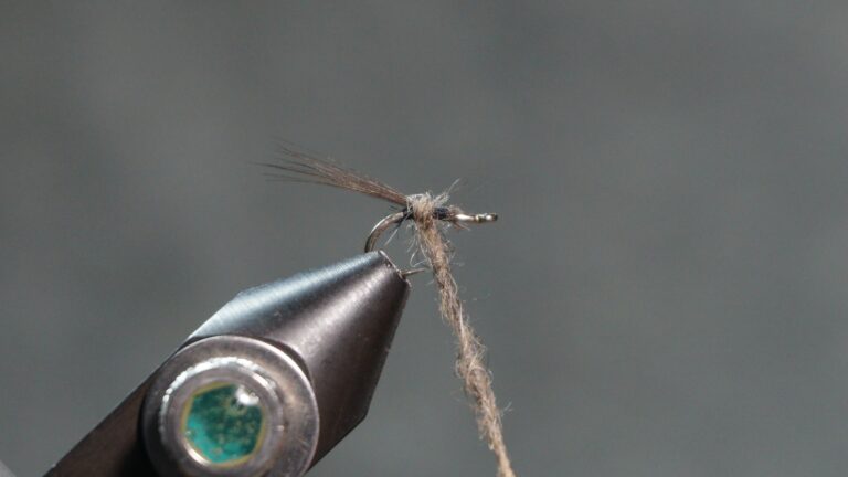 Freshwater Shrimp / Scud (with video) - Missouri Trout Fisherman's ...