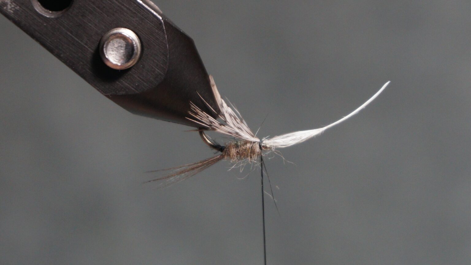 Freshwater Shrimp / Scud (with video) - Missouri Trout Fisherman's ...