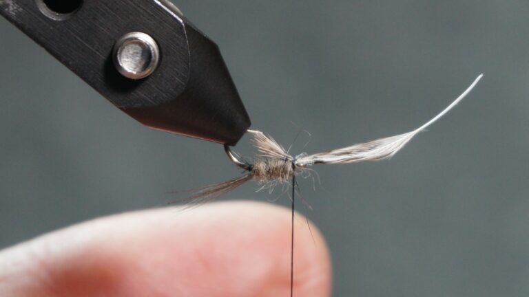 Freshwater Shrimp / Scud (with video) - Missouri Trout Fisherman's ...