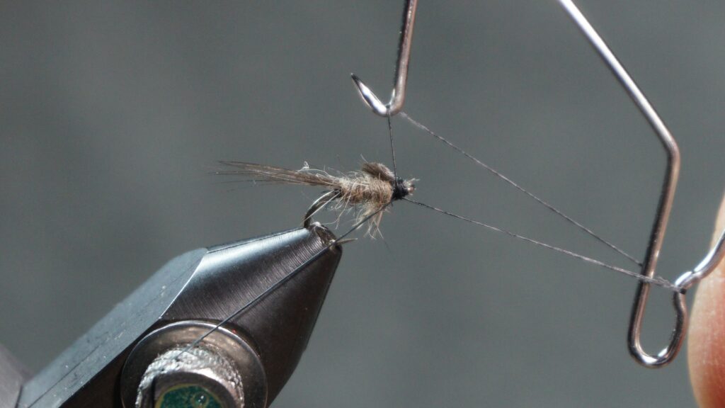 Freshwater Shrimp / Scud (with video) - Missouri Trout Fisherman's ...
