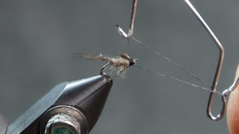 Freshwater Shrimp / Scud (with video) - Missouri Trout Fisherman's ...