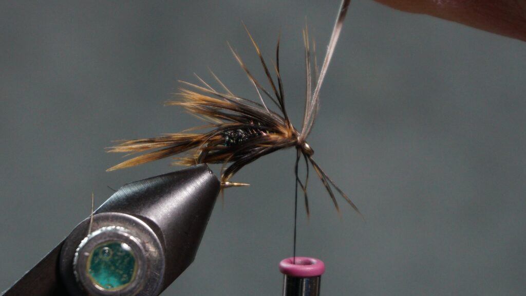 Simple Wet-fly Attractor (with video) - Missouri Trout Fisherman's ...