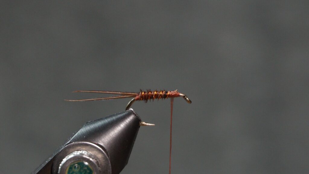 Pheasant Tail Soft Hackle (with video) - Missouri Trout Fisherman's ...