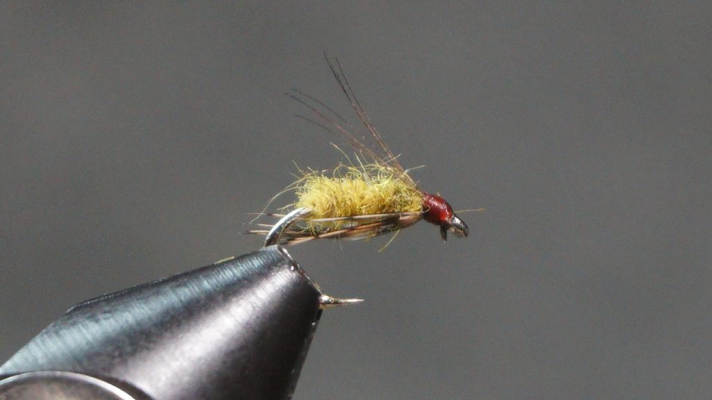 Emergers - Missouri Trout Fisherman's Association - Springfield Chapter
