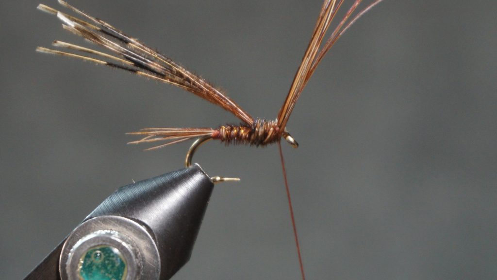 Pheasant Tail Nymph (a Frank Sawyer fly - with video) - Missouri Trout ...