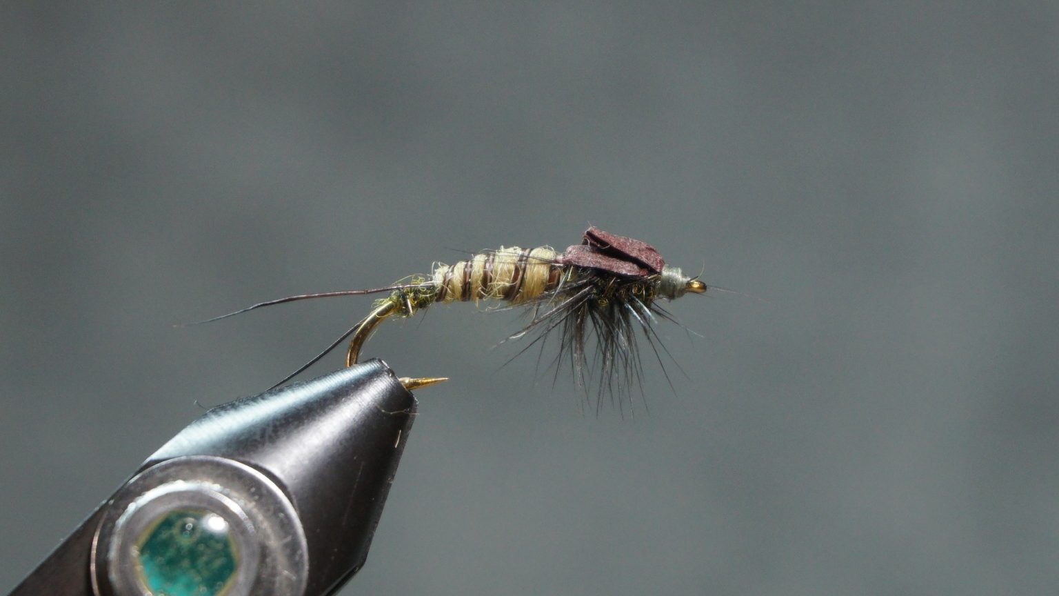 Nymphs - Missouri Trout Fisherman's Association - Springfield Chapter