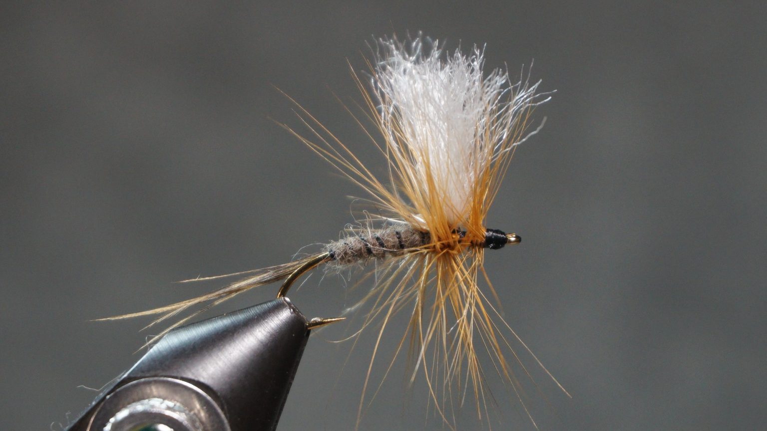 Dry Flies - Missouri Trout Fisherman's Association - Springfield Chapter