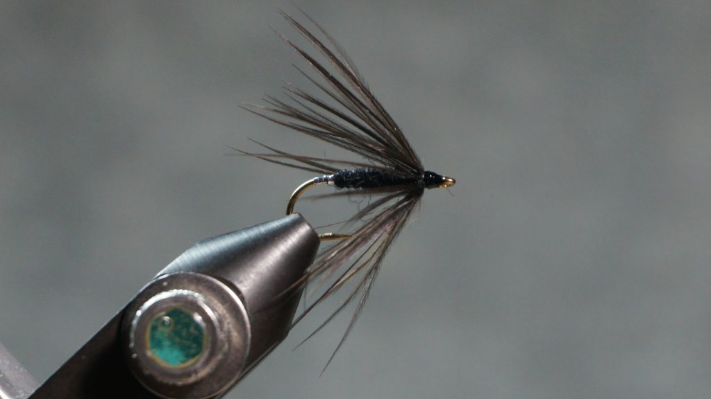 Wet Flies - Missouri Trout Fisherman's Association - Springfield Chapter